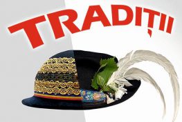 Primaria Comunei Selimbar